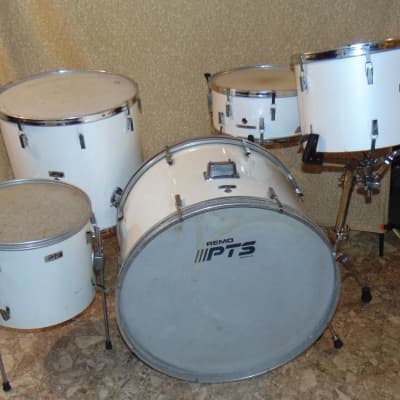 REMO PTS- Pre tuned Series Heads, Acousticon shell 1972 White | Reverb
