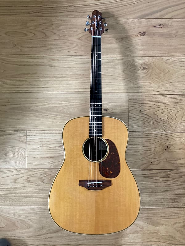 Andy Manson Dove acoustic guitar | Reverb