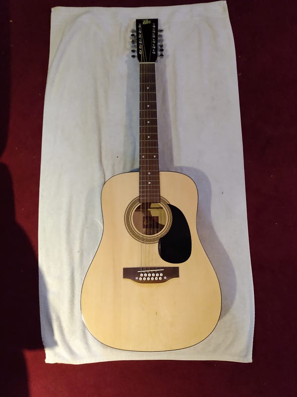 Rogue 12-String Acoustic Guitar | Reverb