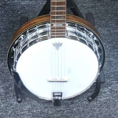 Alvarez 5 string banjo 70s | Reverb