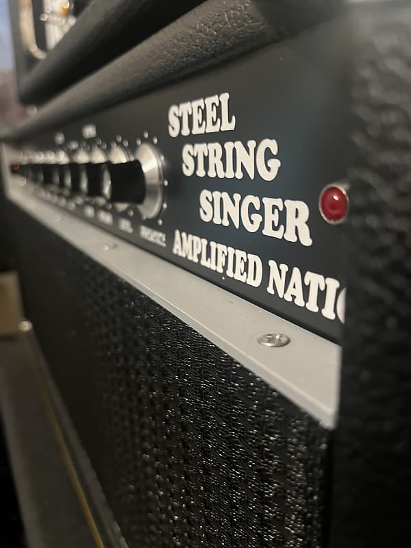 Amplified Nation Steel String Singer 100 Watt Guitar Amp Head | Reverb