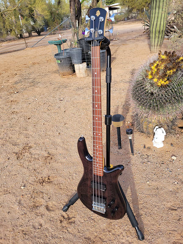 Spector Legend 4 Early 2000's Transparent Black Gloss | Reverb