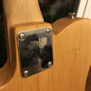 Rick Kelly Drop Horn Buffalo telecaster tele Kellycaster | Reverb