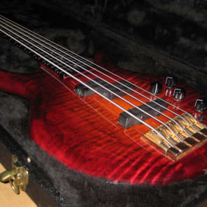 Pedulla Pentabuzz 5-string Fretless Buzz Bass - Outstanding | Reverb