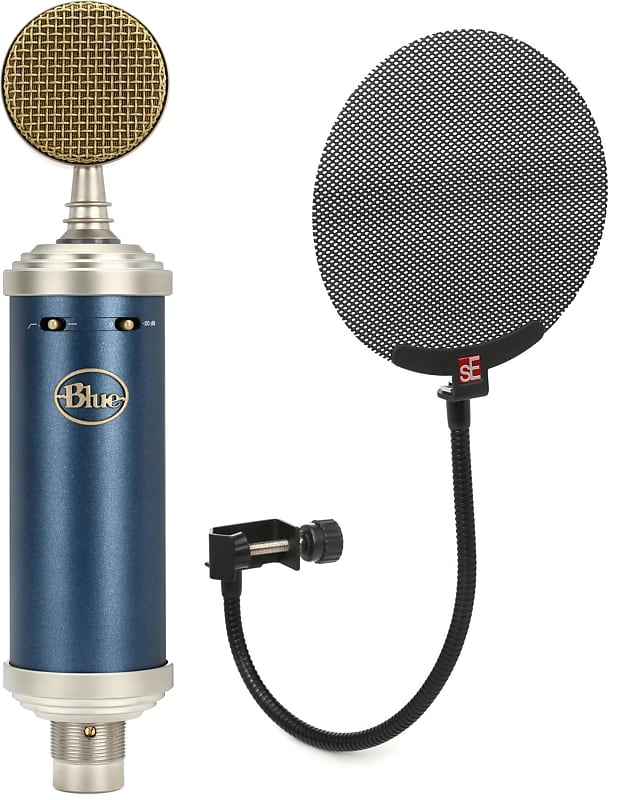 Blue Microphones Bluebird SL Large-diaphragm Condenser | Reverb