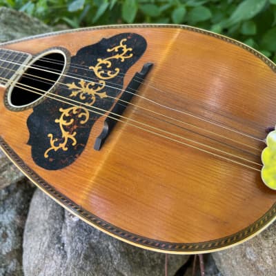 Lyon and Healy Italian Style Bowlback Mandolin Brazilian | Reverb