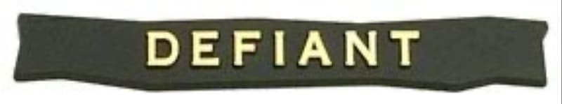 "DEFIANT" Model Plaque Flag For Vox Amps | Reverb Canada