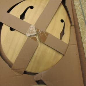 Saga AM-10 Build Your Own Mandolin Kit Build Kit | Reverb