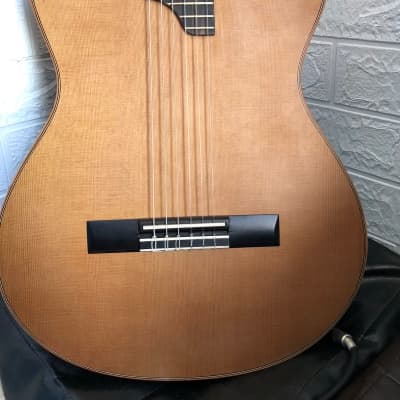 guitar model gibson chet atkins system Paul McGill | Reverb