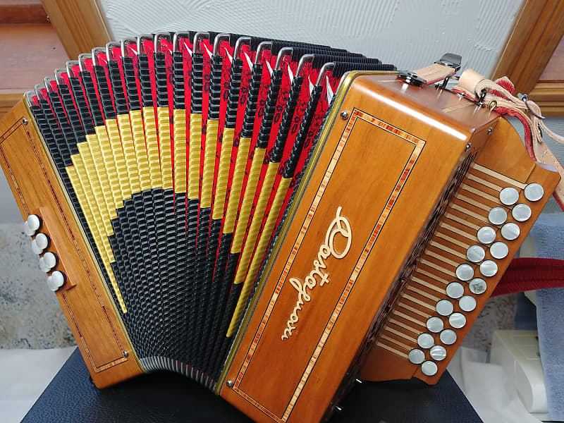 Castagnari Hascy G/C 2017 - Cherry | Reverb