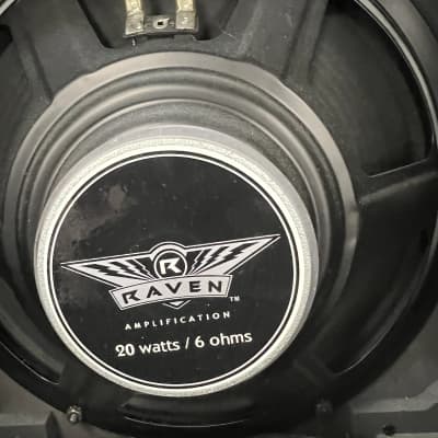 Raven RG20 Guitar Combo Amp | Reverb