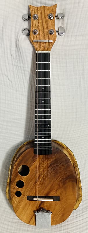 Turtle shell Concert ukulele/guitar | Reverb