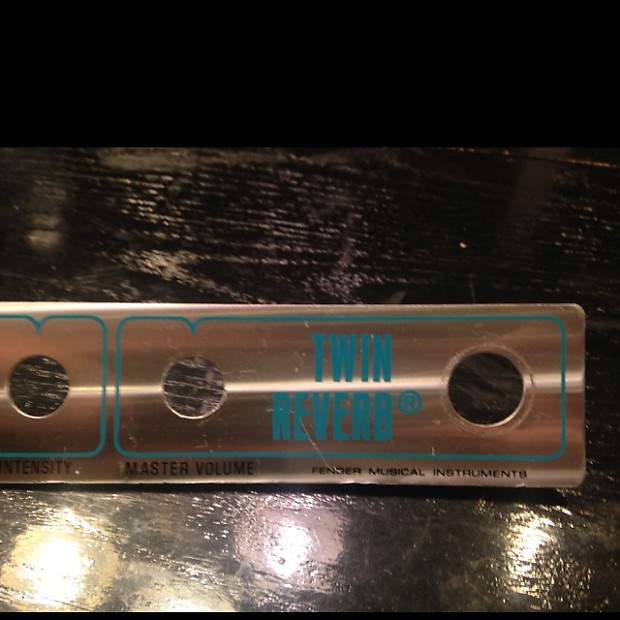 Fender Twin Reverb faceplate Silverface | Reverb