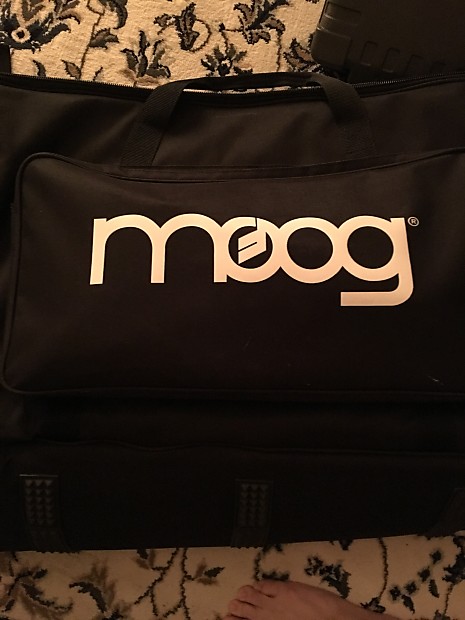 Moog Gig Bag | Reverb