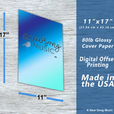 Dobro G Tuning Resonator Chord Poster Chart Beginner Easy | Reverb