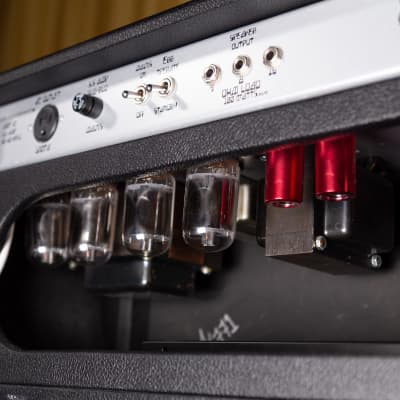 Steel String Singer #002 John Mayer Dumble clone | Reverb