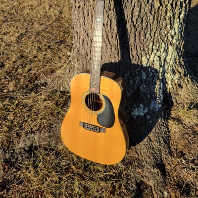 2002 Martin DVM Model Acoustic Guitar Veterans Special | Reverb
