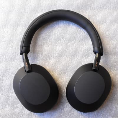 Sony WFL900/H LinkBuds Truly Wireless Earbuds Headphones, | Reverb