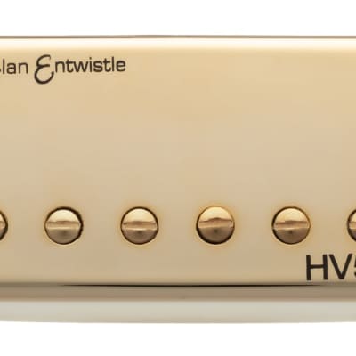 Entwistle HV Mini Humbucker Bridge & Neck Pickups - Free USA | Reverb