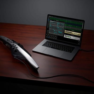 Roland AE-30 Aerophone Pro Digital Wind Instrument | Reverb