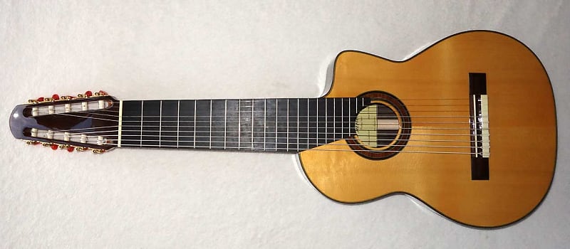 NEW Bartolex SLS10CEL 10-String Guitar Spruce Top, w/Pickup, | Reverb