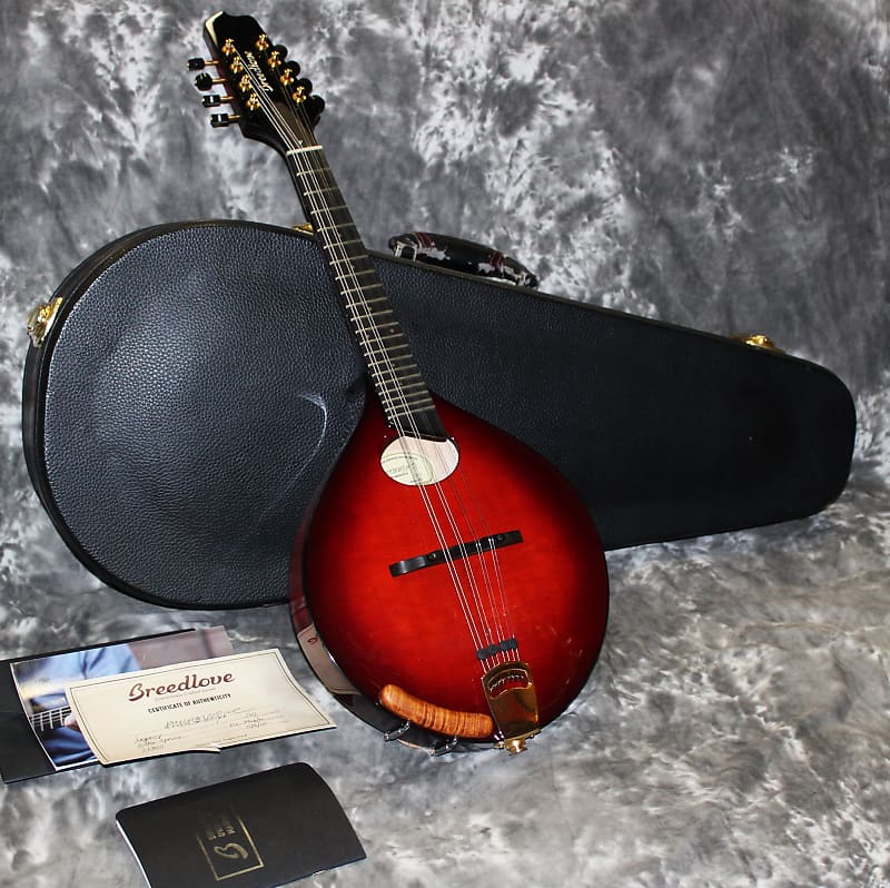 2015 Breedlove - Legacy OO Mandolin - Ruby Burst | Reverb