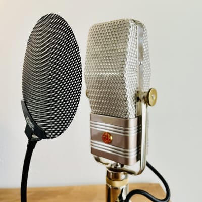 AEA A440 2010s - Gray | Reverb