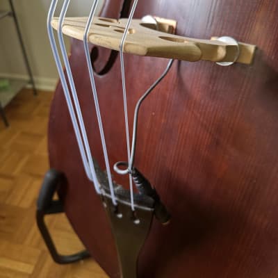 Vienna Strings Upright/Double Bass | Reverb
