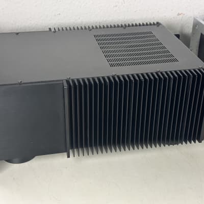 2x Restek Extent Mono Endstufe / Power Amplifier | Reverb