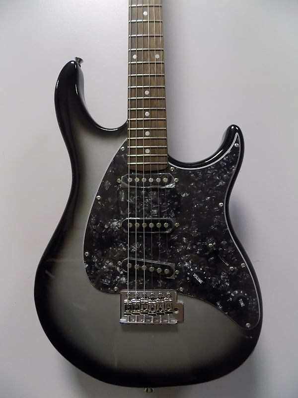 Peavey Raptor Custom Electric Guitar - Silverburst | Reverb