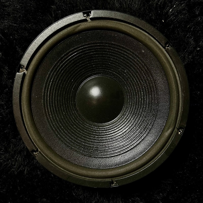 12” Passive Radiator Speaker | Reverb