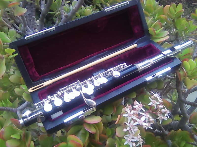 Medini Black Resin Key of C Piccolo with Nickel Plated Keys | Reverb
