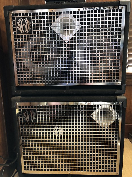 SWR Little Goliath III & Son of Bertha bass cabs | Reverb