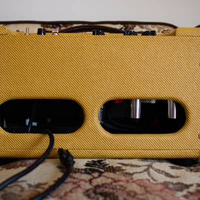 Carl's Custom Amps Classic Tube Spring Reverb Unit | Reverb Canada