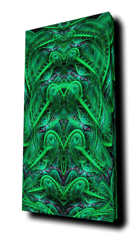 "Dragon Lair 02" by Johnathan Singer - 244 Portrait Acoustic | Reverb