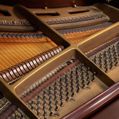 Chickering Model 125 Baby Grand Piano - Made in USA 1957 | Reverb