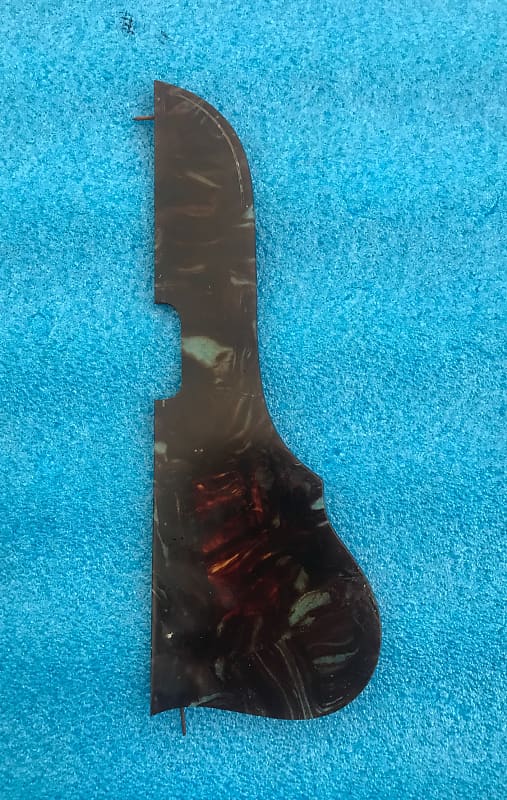 Hofner Pickguard 1961 - Tortoiseshell | Reverb