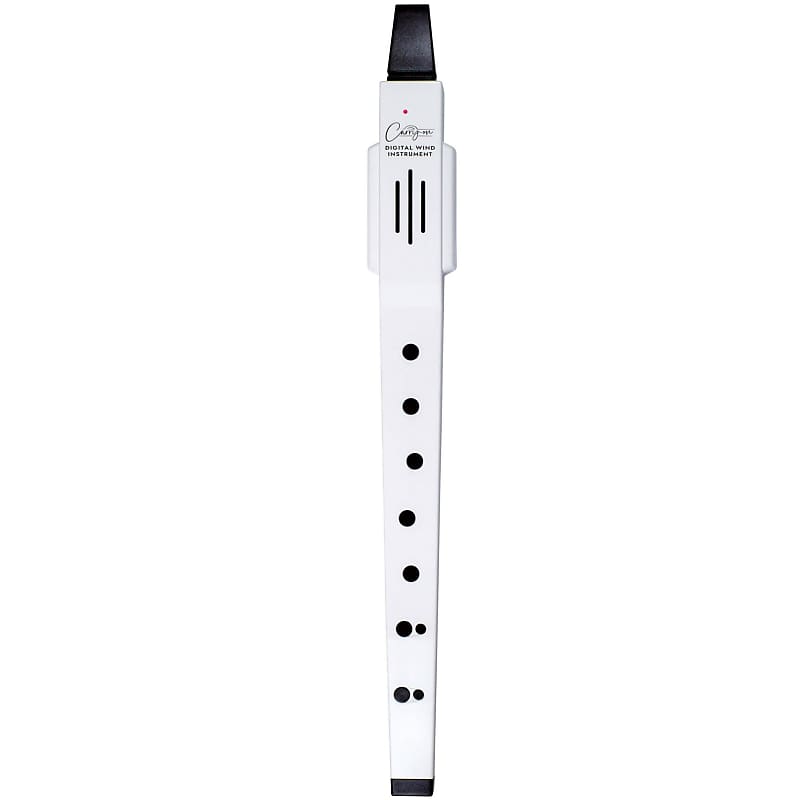Carry-on DIGWINDWT Digital Wind Instrument, White | Reverb