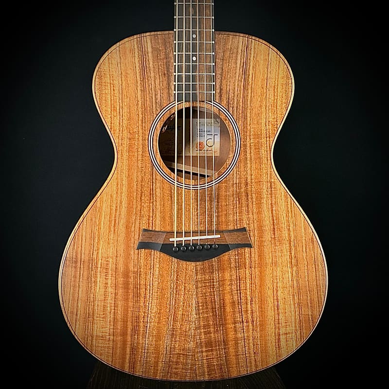 Taylor Jacob Collier Signature Model 6-String | Reverb