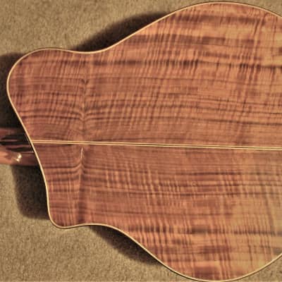 Harry Fleishman 'Dragonfly'. 1995 One of a Kind Acoustic | Reverb