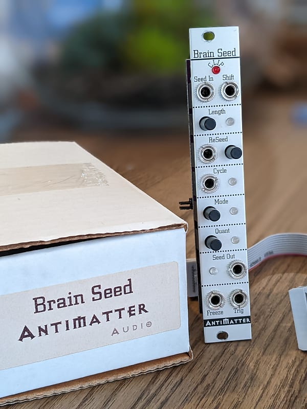 Antimatter Audio | Brain Seed | Reverb