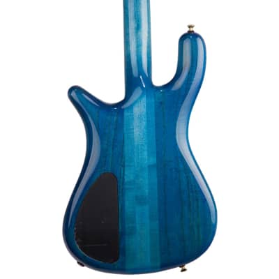 Spector USA Custom NS2 Fretless Bass Guitar - Desert Island - | Reverb