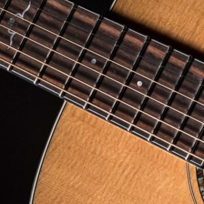 Cort Gold Series A6 Auditorium w/ Fishman Flex Blend | Reverb