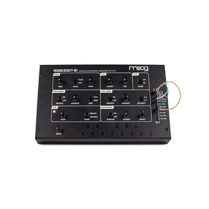 Expander Moog Werkstatt 01 | Reverb