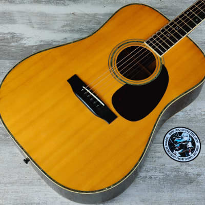 1980's Morris W-35 Dreadnaught Japanese Acoustic Guitar | Reverb