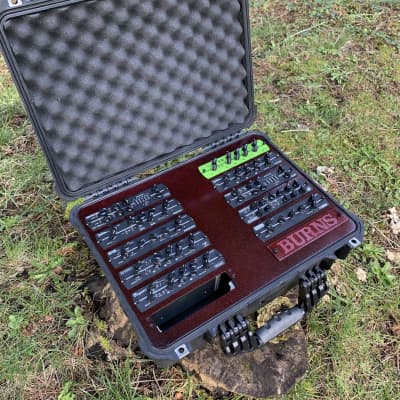 Burns Omega Model 12 Slot Case, Cosmic Midnight Red, for | Reverb