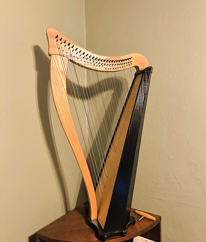 Dusty Strings Ravenna - 26 strings | Reverb