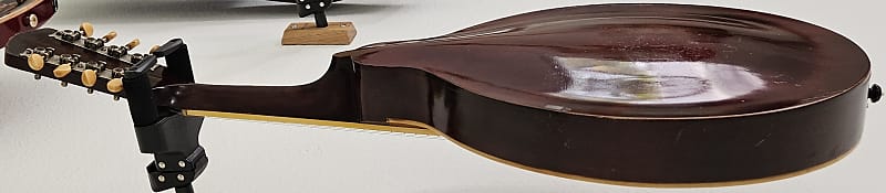 1913 The Gibson A-1 Mandolin Pumpkin Top Vintage Natural | Reverb