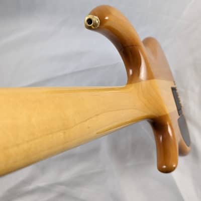 CARVIN USA IC5 Icon 5-String Bass Guitar w/Case - AAA Flame | Reverb