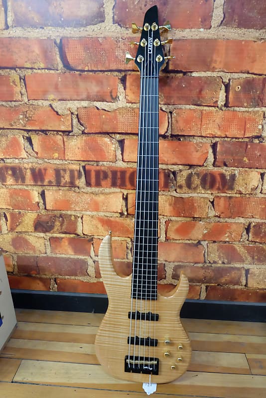 Carvin LB76 6 String fretless | Reverb